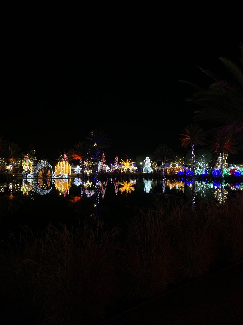 Book your Holiday Event at the BEST Christmas Light Show in the Inland ...